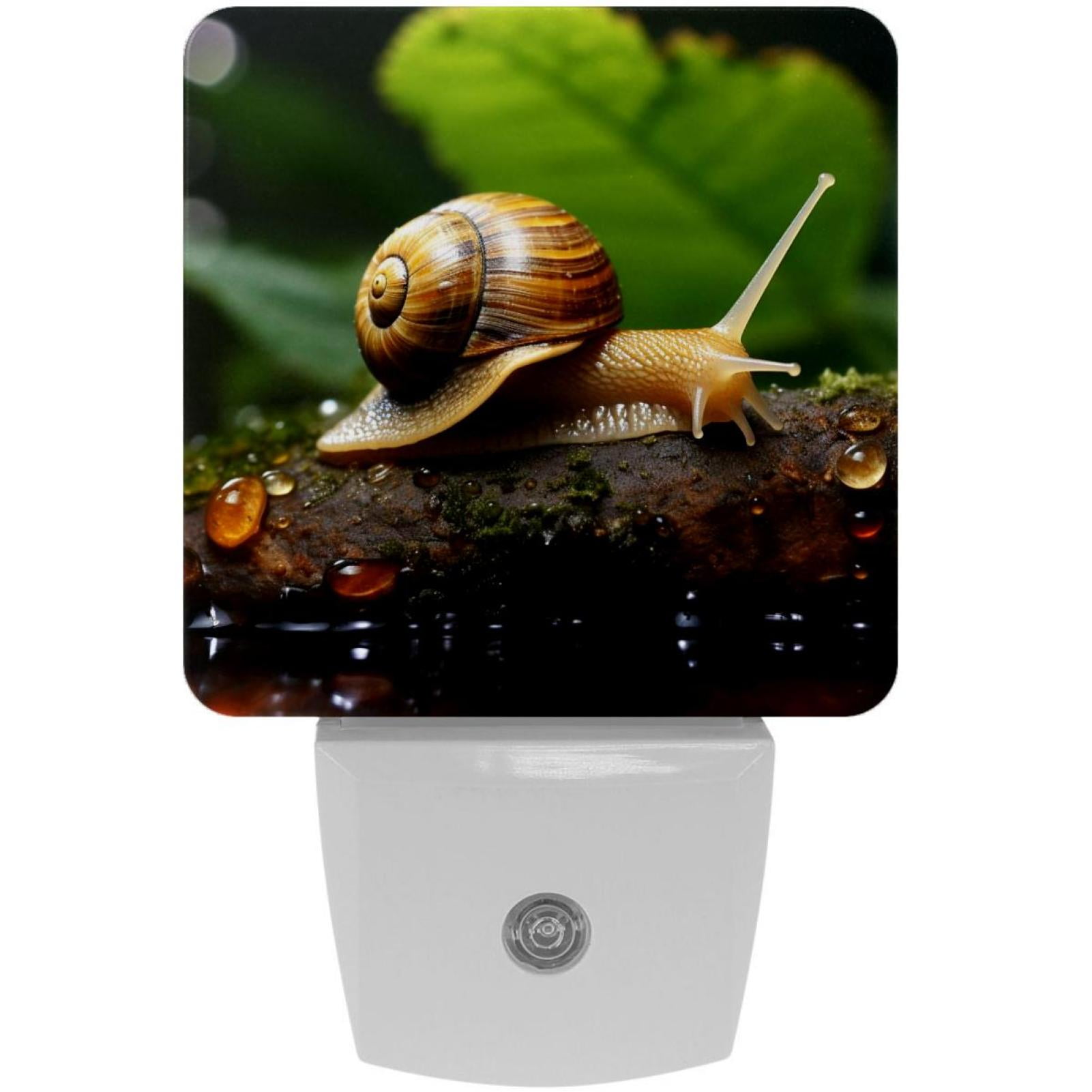 Snail LED Square Night Lights - Stylish and Energy-Efficient ...