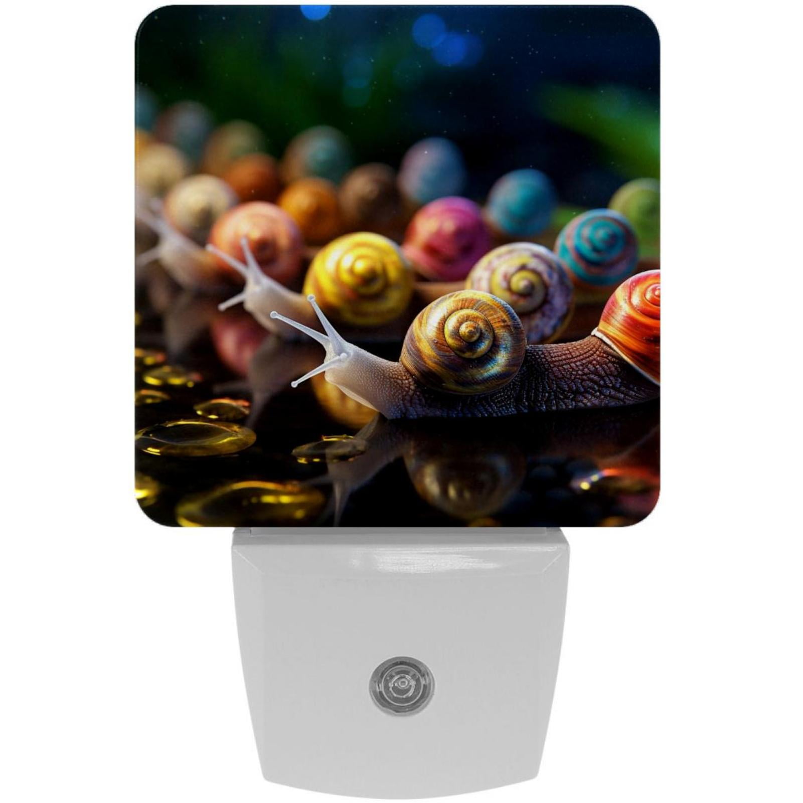 Snail LED Square Night Lights for a Bright and Stylish Ambiance - Ideal ...