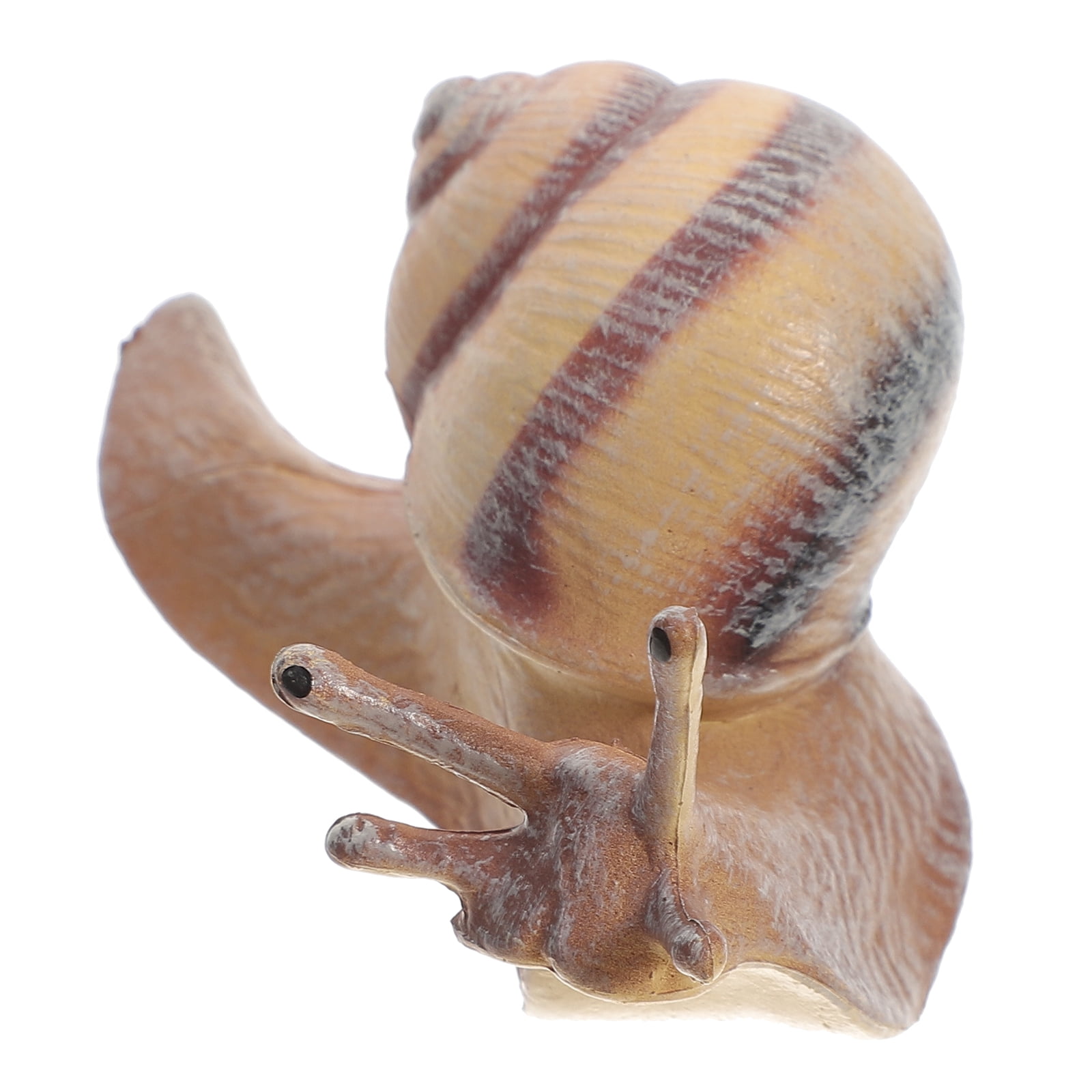Snail Model Mini Statute Realistic Figurine Home Decor Kids Toys ...