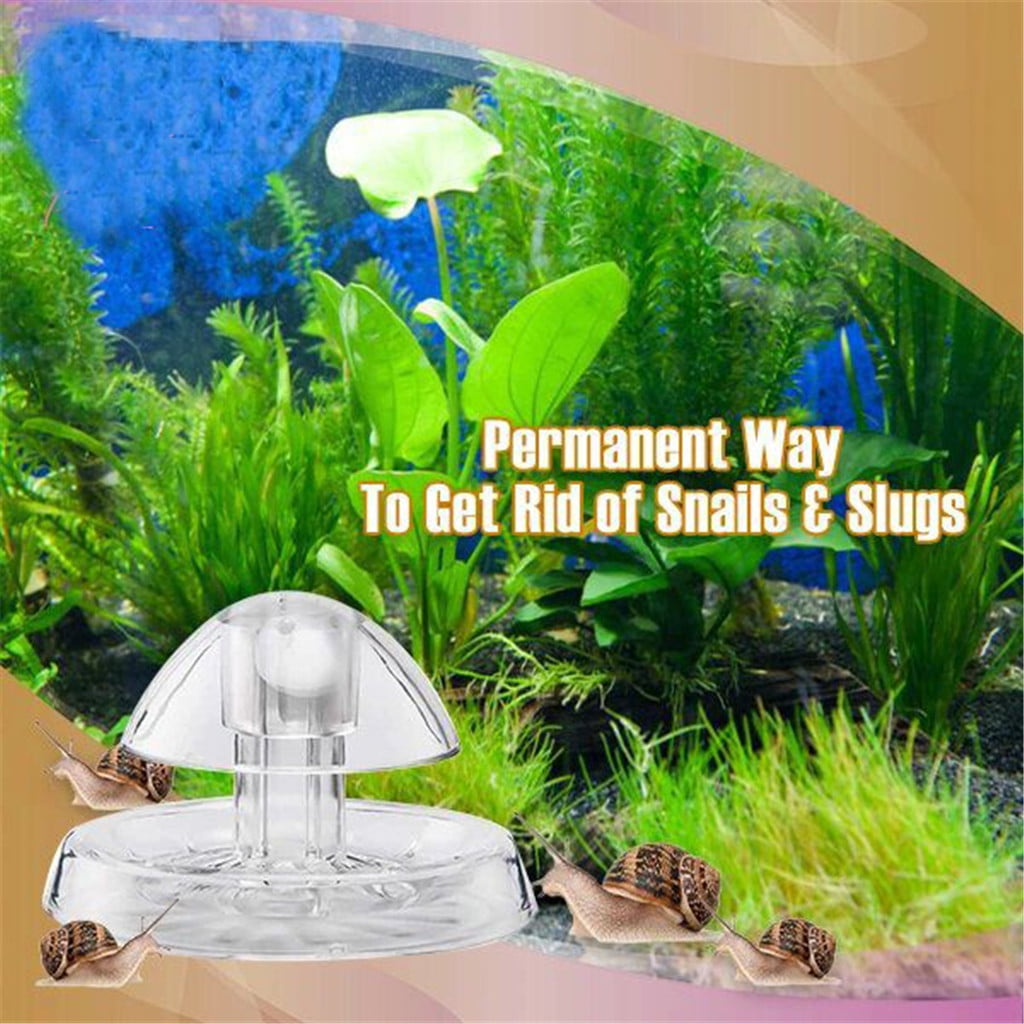 Snail Remover for Grass Tank Clearance! Grass Catcher Trap Leech ...