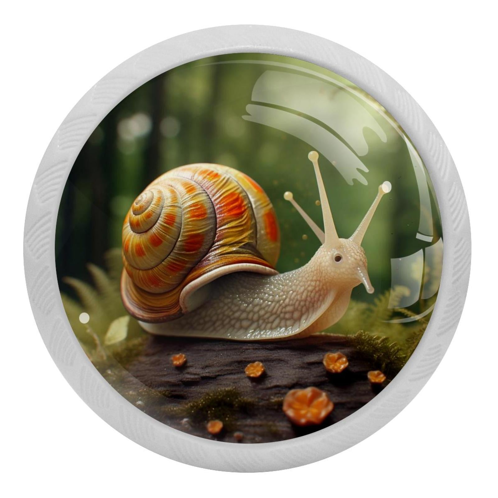 Snail Round Glow-in-the-Dark Cabinet Knobs with Screws - 4 Pack ...