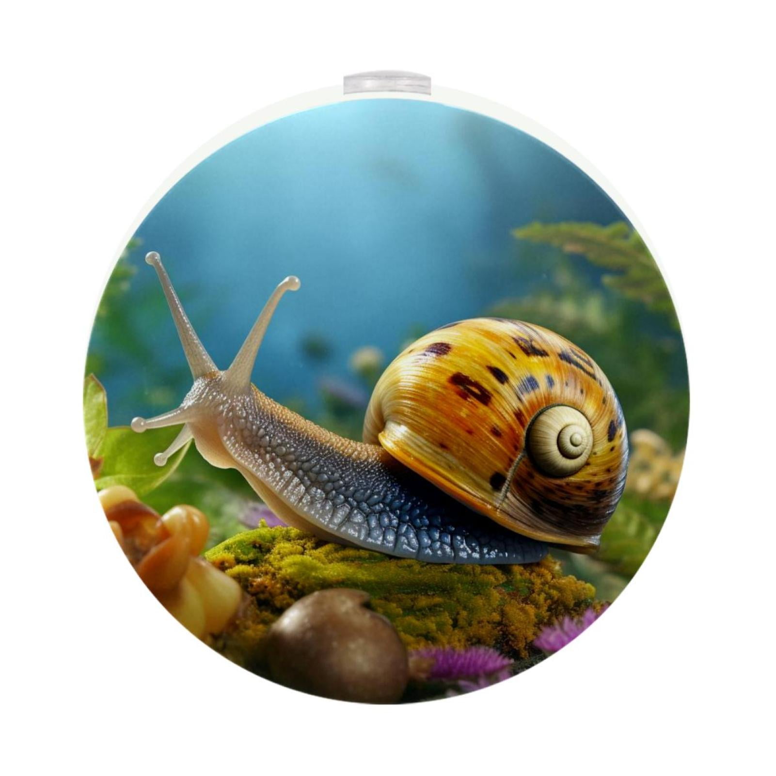 Snail Set of 2 LED Round Night Lights for Brightening up your Space at ...