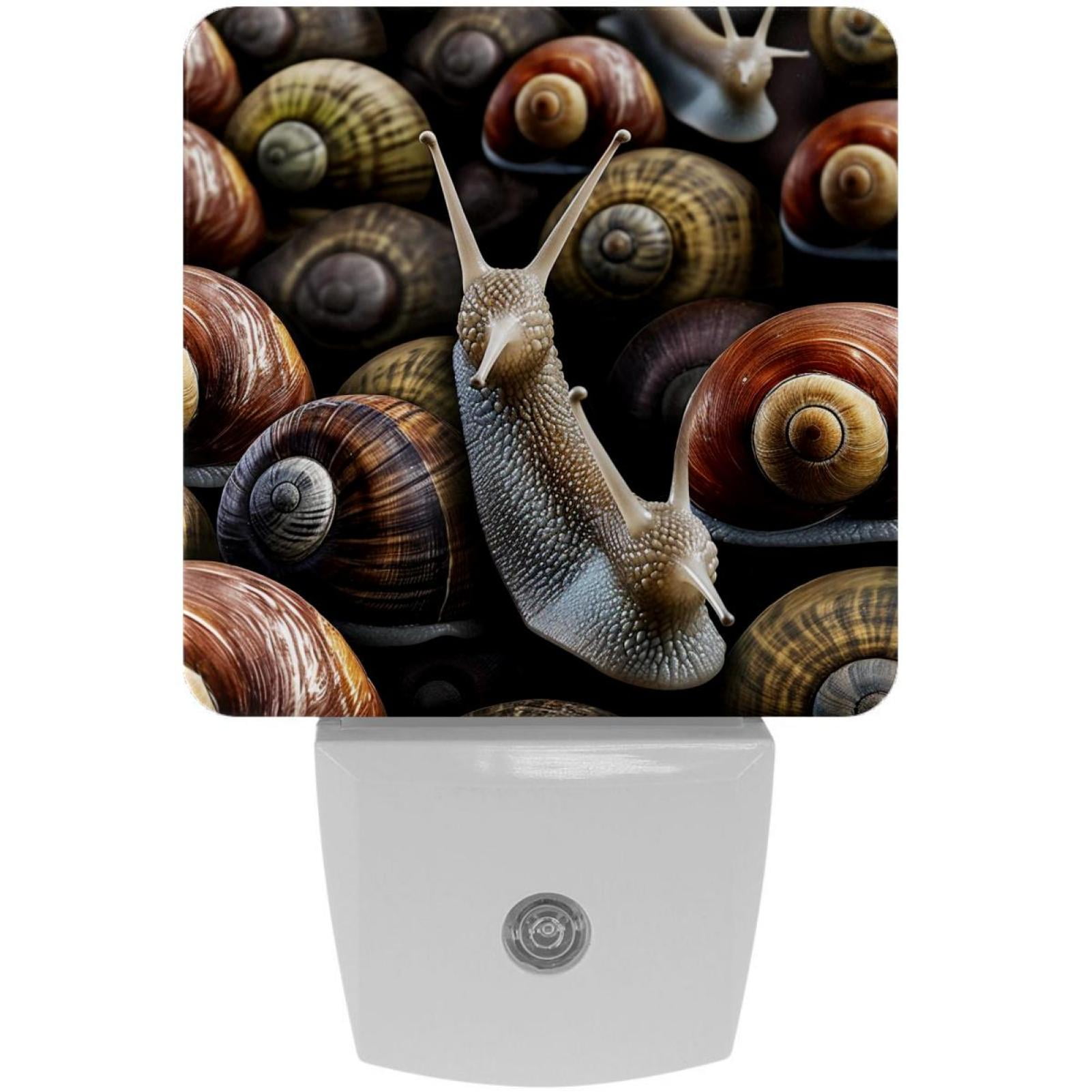 Snail Square LED Night Lights - Small, Portable Lighting for Any Room ...