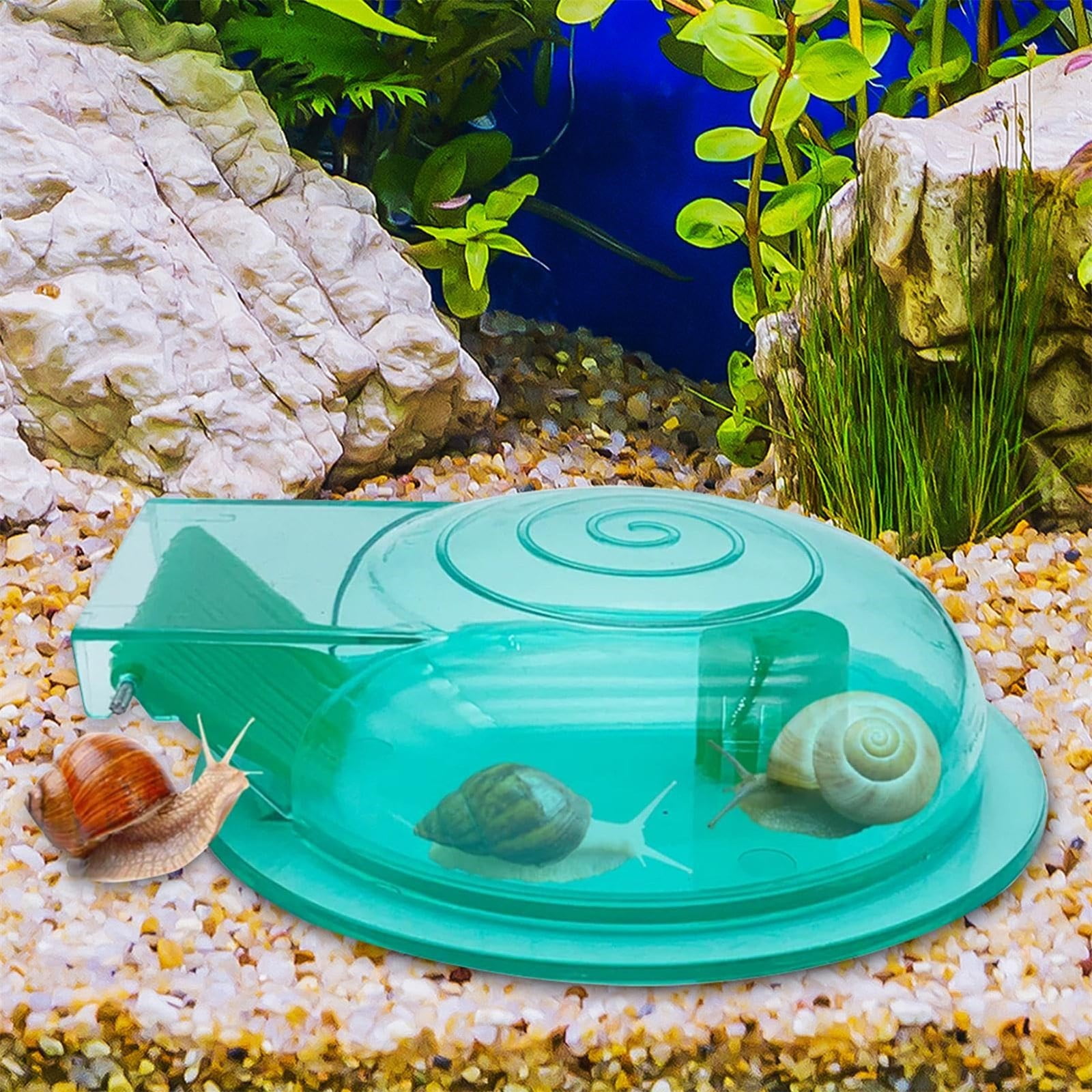 Snail Traps for Outdoor Bug Catcher for Kids Transparent Plastic Snail ...