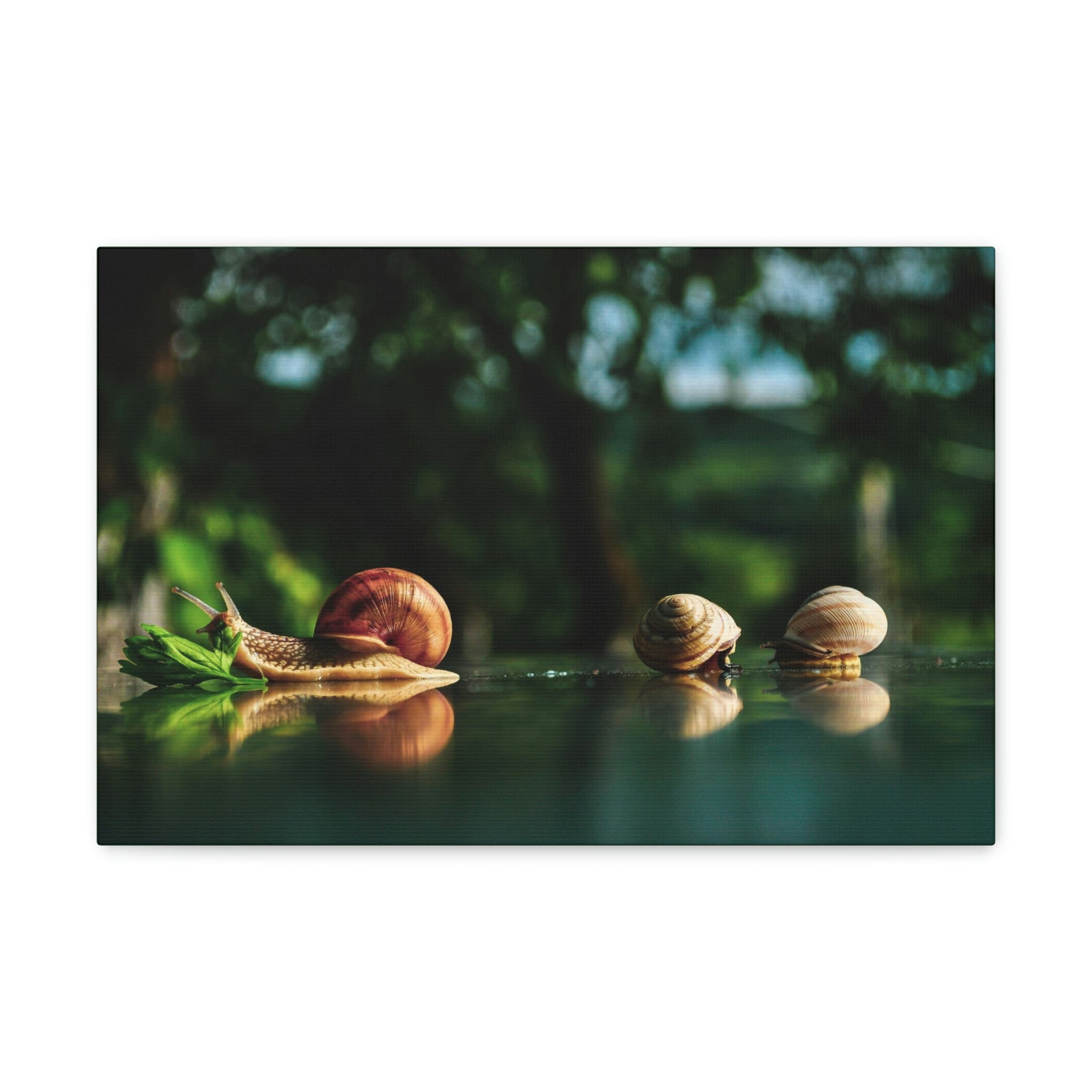 Snails Group Snails Troop Print Animal Wall Art Wildlife Canvas Prints ...