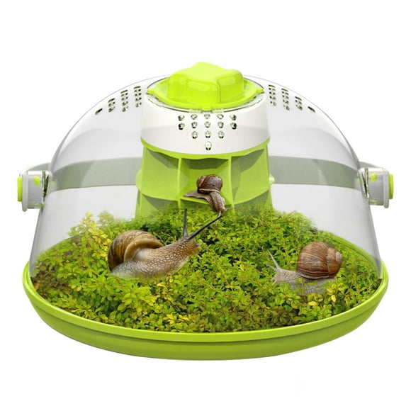 Kahopy Snails Terrariums Breeding Box Insect Viewer with Handle, Round ...