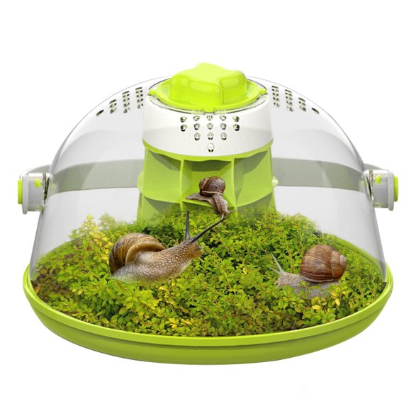 Hornworm Breeding Kit