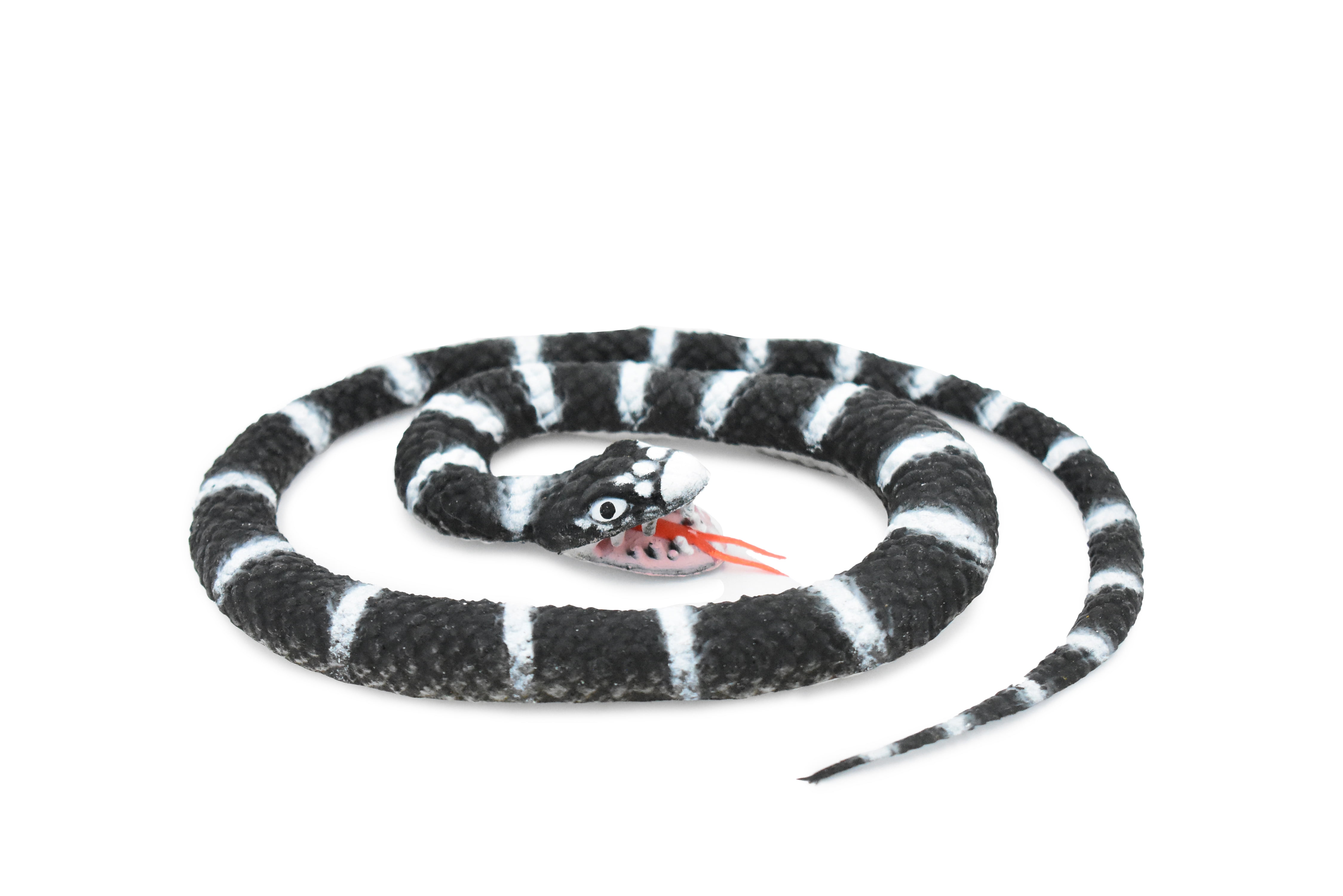 Snake, California King Snake, Coiled, Rubber Reptile, Educational ...