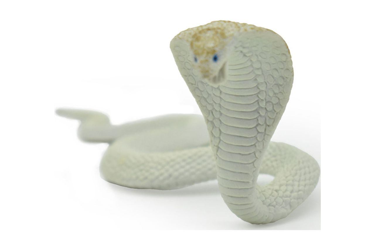Snake, Cobra, White, Museum Quality, Rubber Reptile, Educational ...