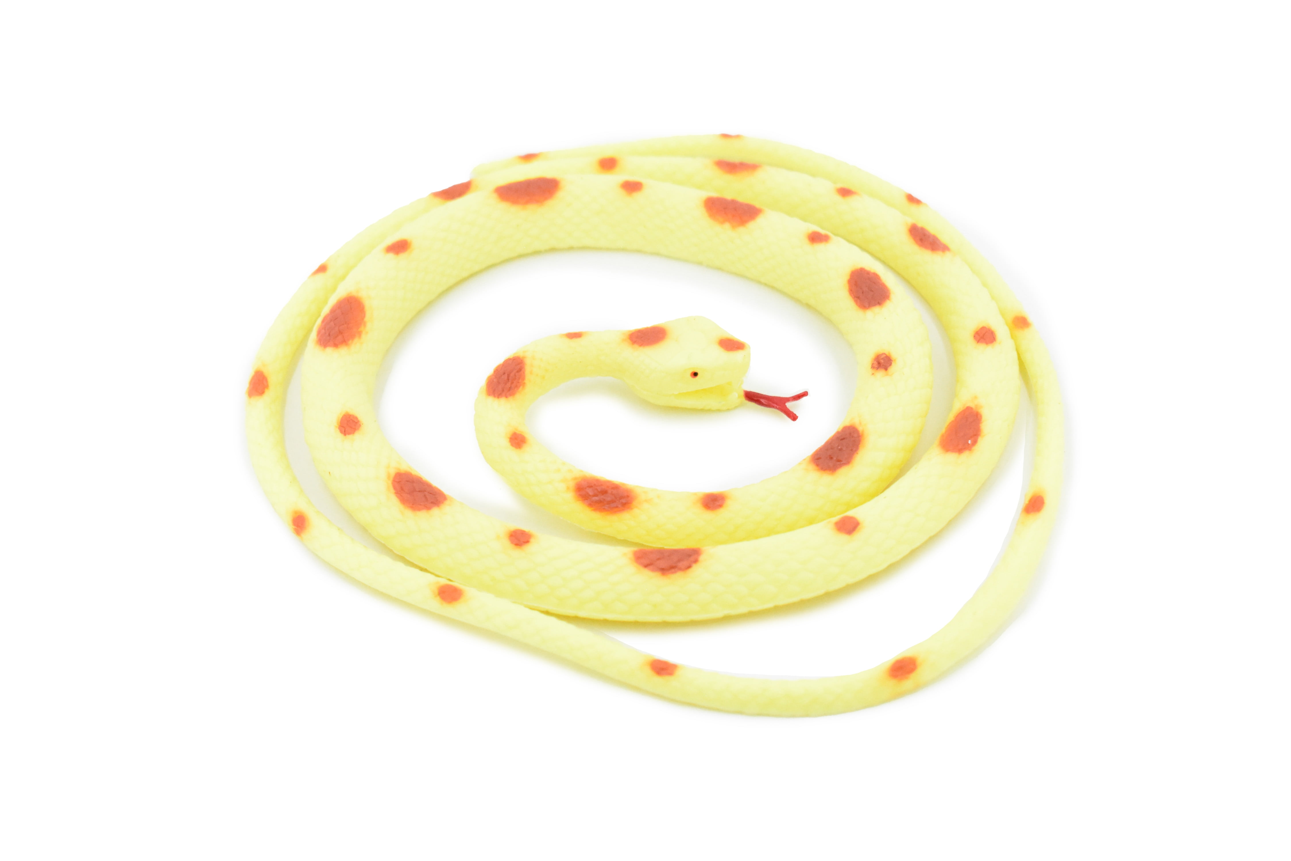 Snake, Cream with orange spots, Coiled, Rubber Reptile, Educational ...