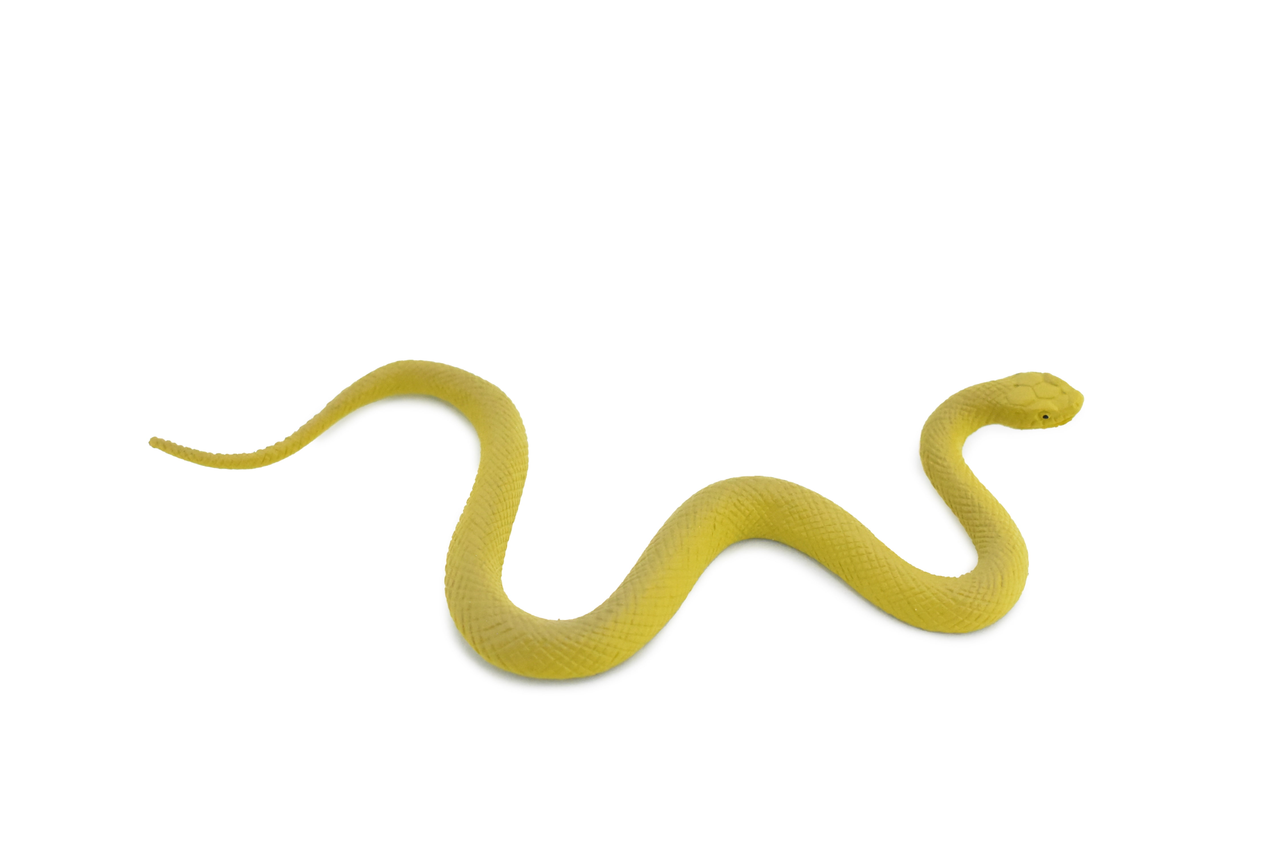 Snake, Eastern Brown Snake, Australia, Rubber Reptile, Educational ...