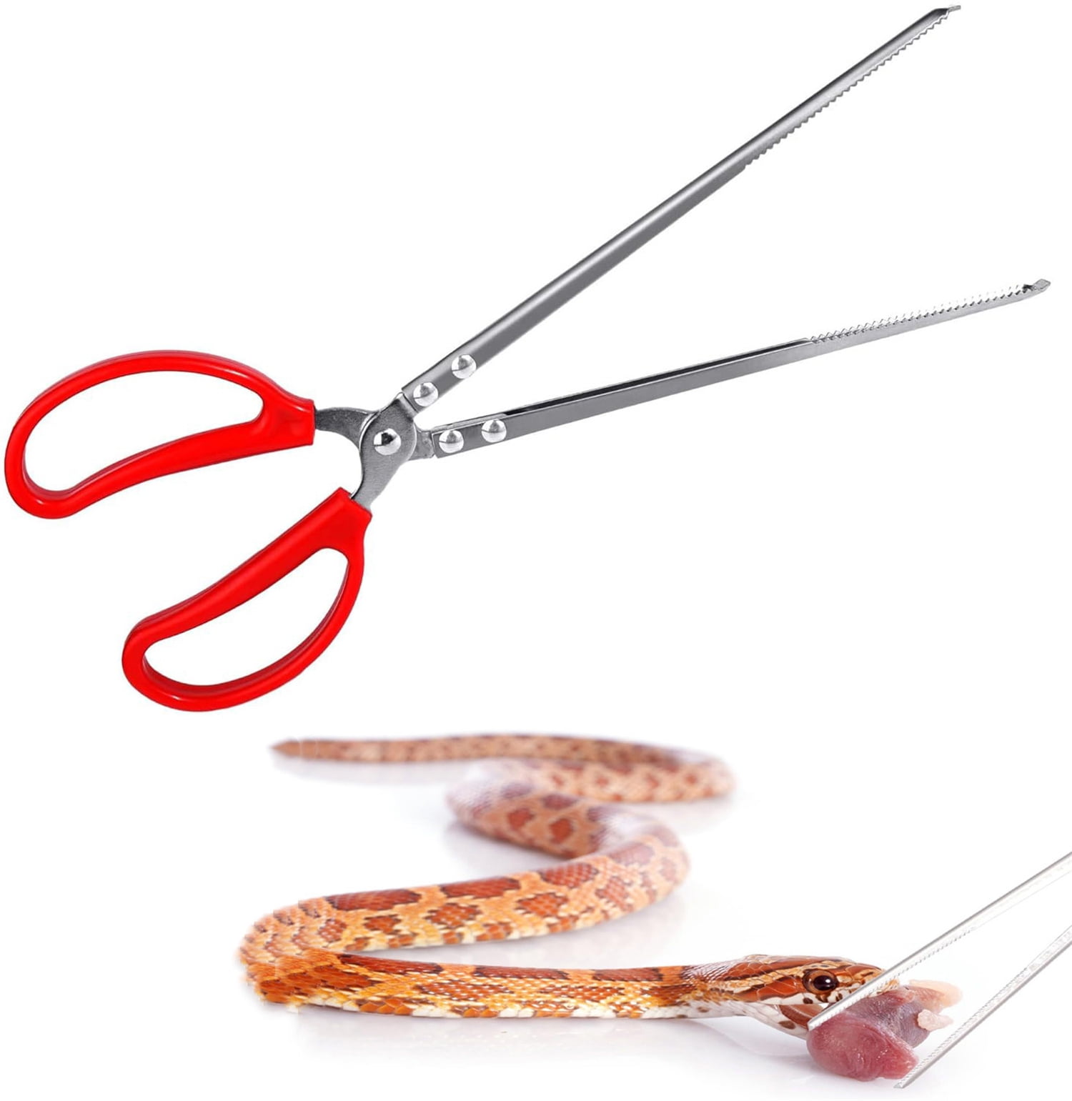 Snake Feeding Tongs,Happon 14.5 Inch Reptile Feeding Tongs,Easy-Grip ...