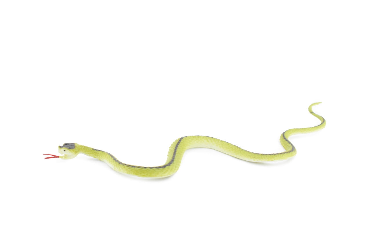 Snake, Garter Snake, Green, Rubber Reptile, Educational, Realistic Hand ...