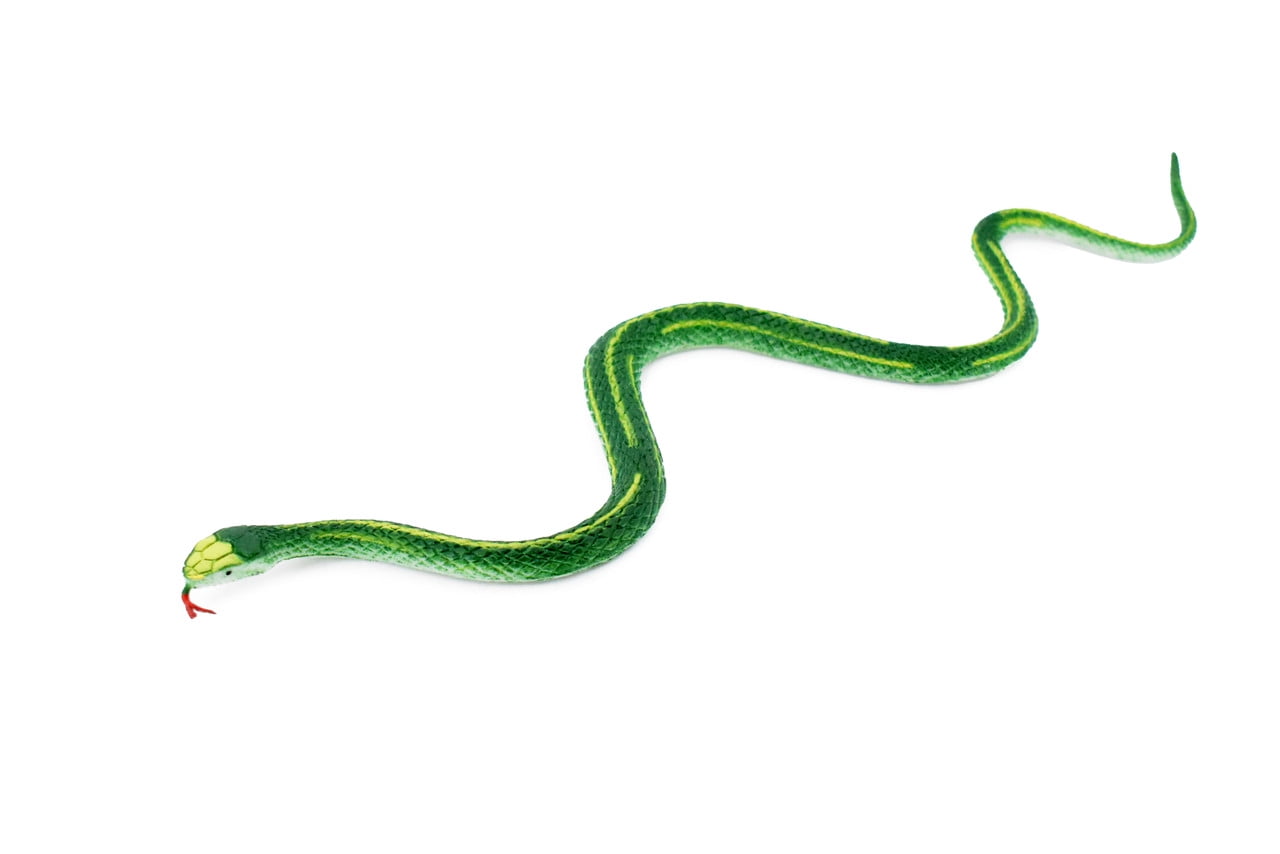 Snake, Garter snake, Green, Rubber Reptile, Educational, Realistic Hand ...