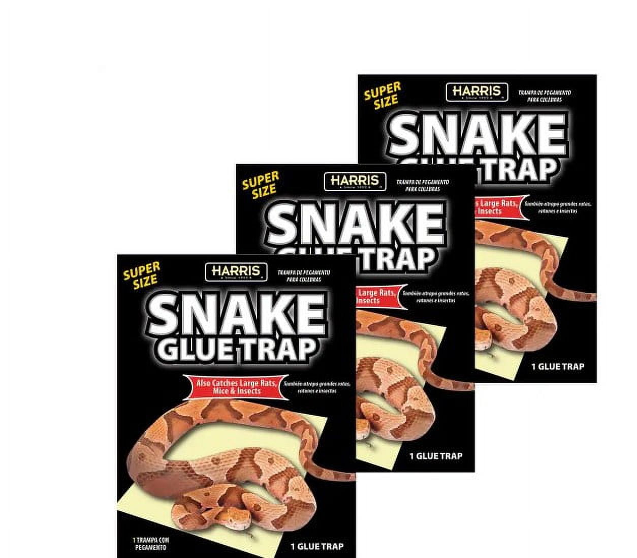 Snake Glue Trap Super Size (3-Pack) - Walmart.com