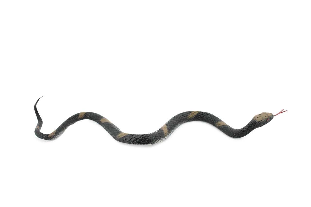 Snake, Gopher snake, Rubber Reptile, Educational, Realistic Hand ...