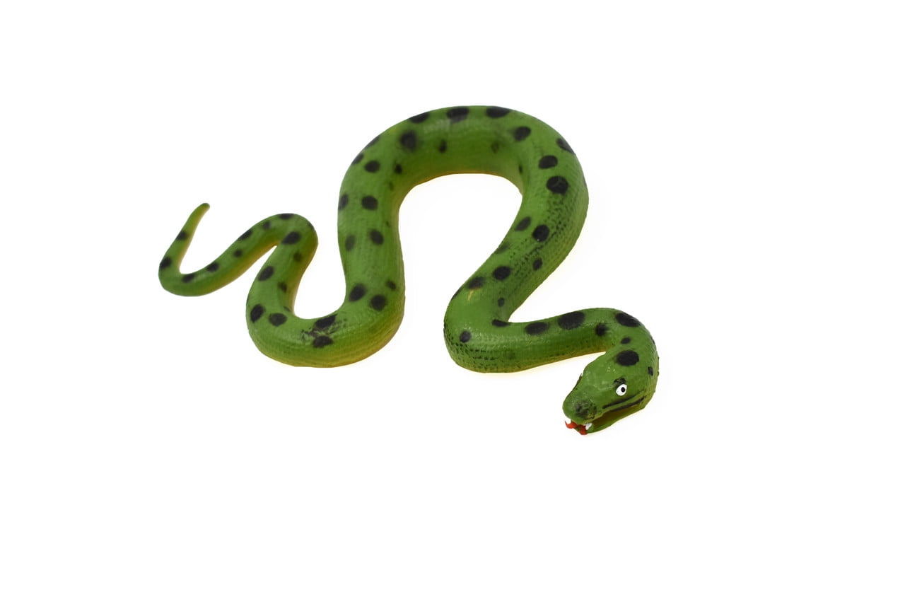 Snake, Green Anaconda, Rubber Reptile, Educational, Realistic, Hand ...