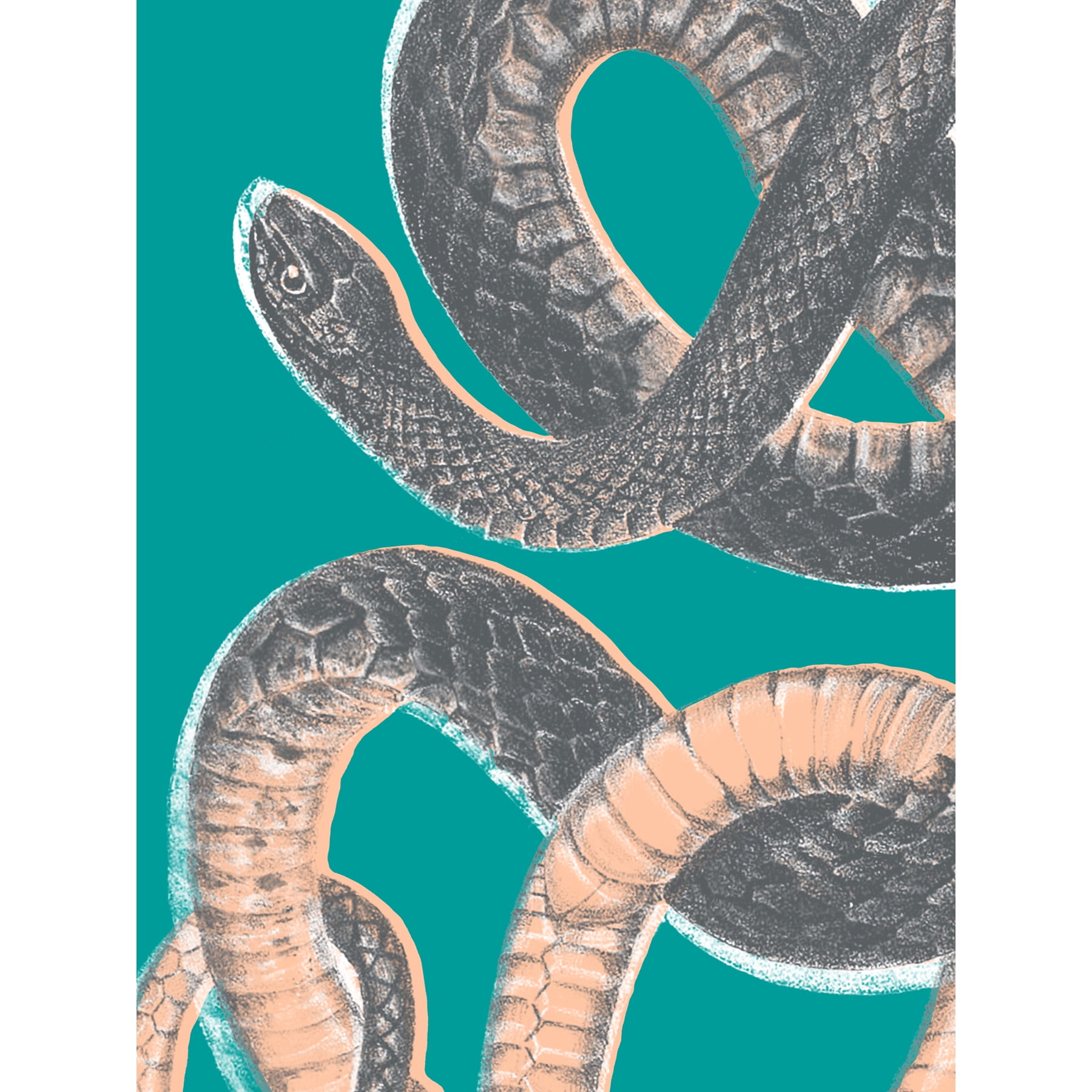Snake Illustration Modern Biodiversity Extra Large XL Wall Art Poster ...