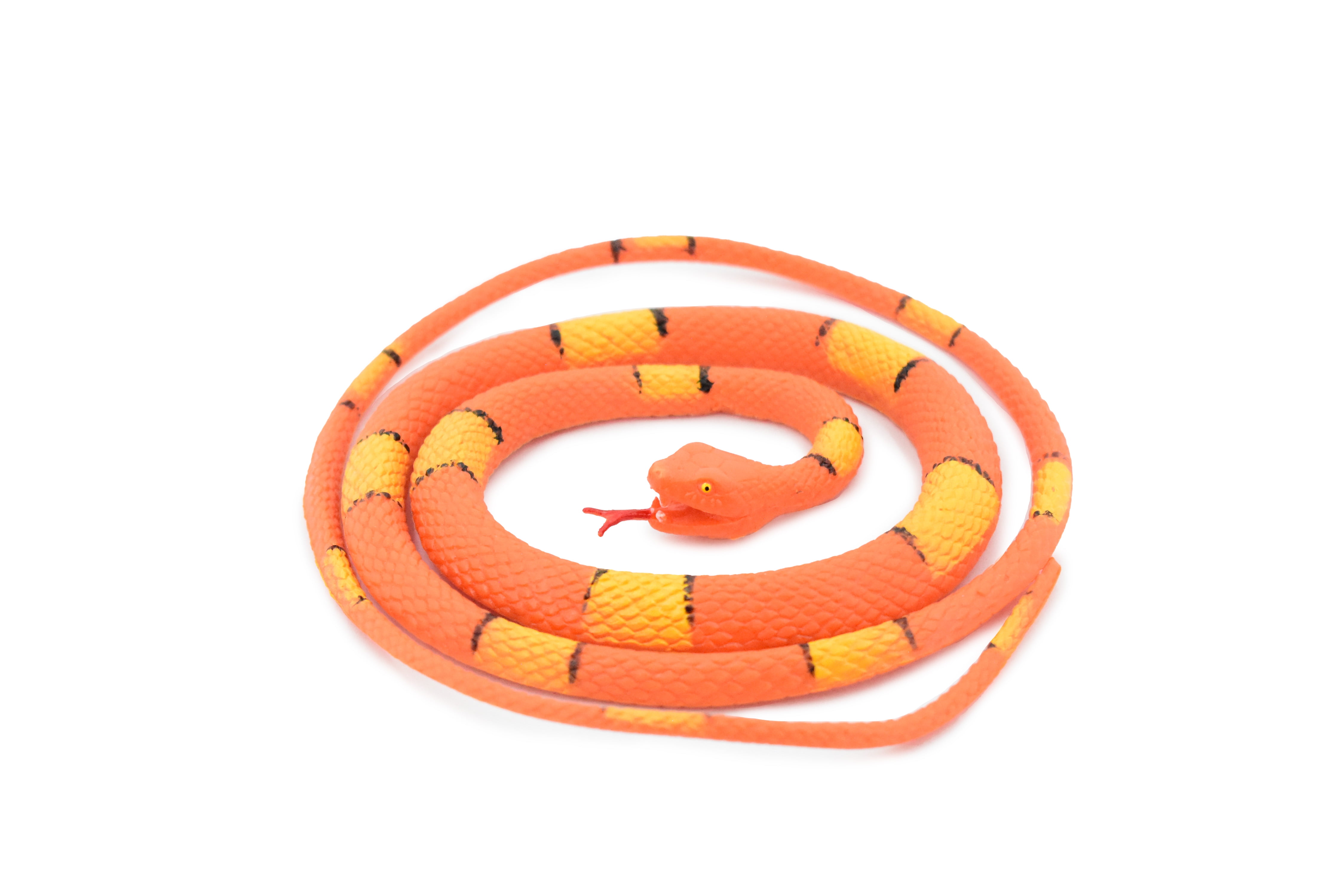 Snake, Orange with yellow bands, Rubber Reptile, Educational, Realistic ...