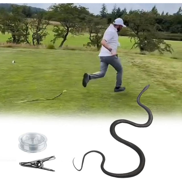 Snake Prank with String Clip, Prank Snake Toy, Fake Snake on a String ...