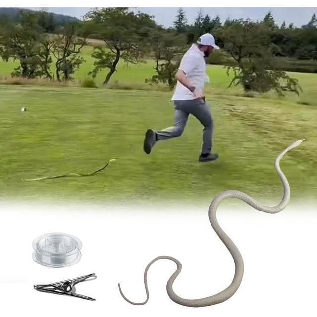 Snake Prank with String Clip, Prank Snake Toy, Fake Snake on a String ...