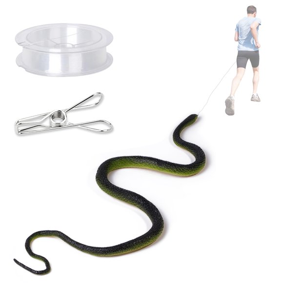 Rubber Snake