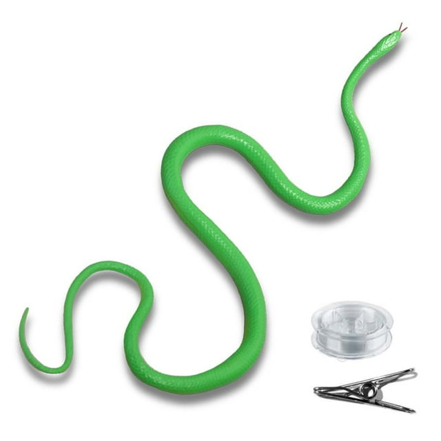 Snake Prank with String Clip Tricks Snake on A String That Peopl Chase ...
