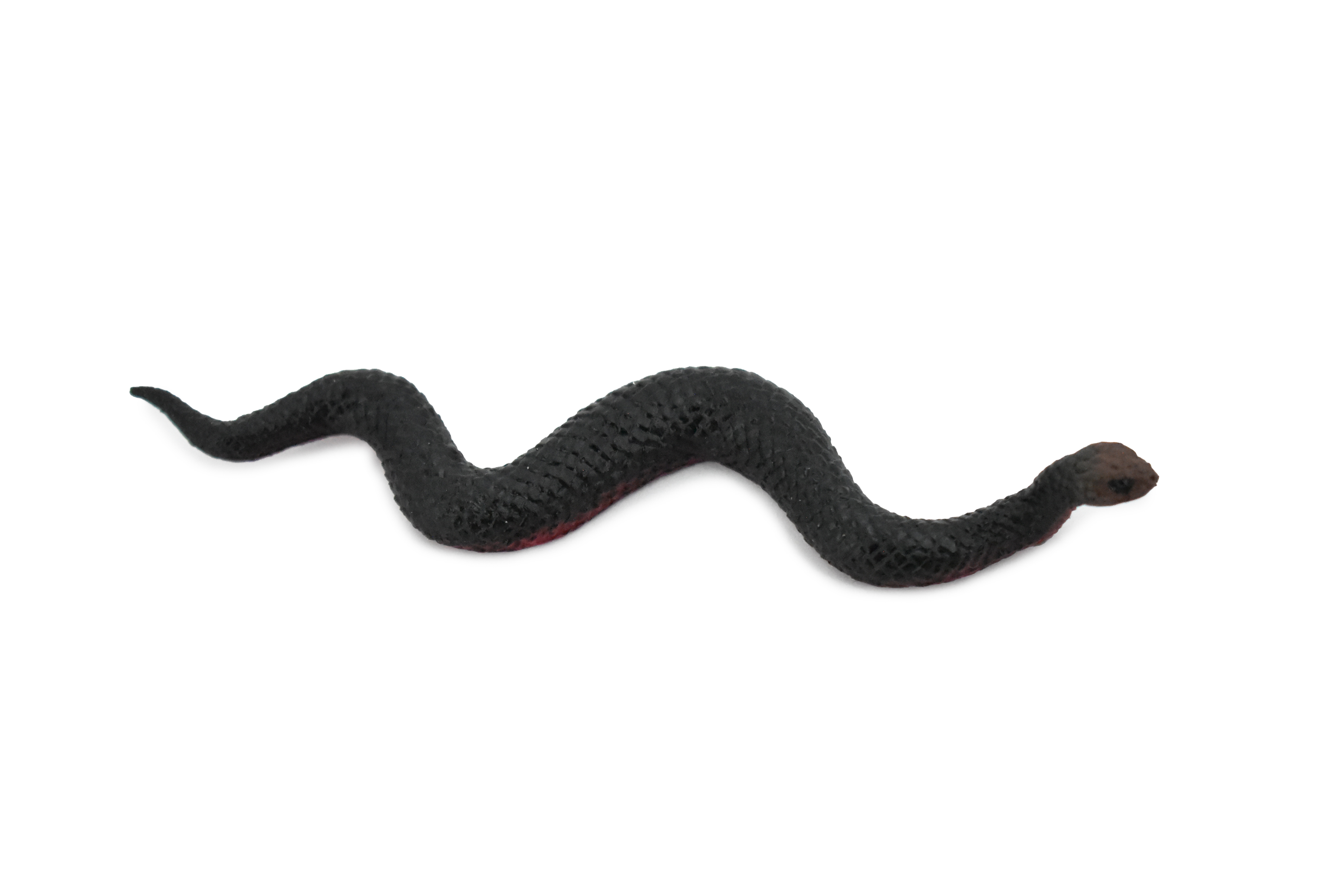 Snake, Red-Bellied Black Snake, Australia, Plastic Reptile, Educational ...