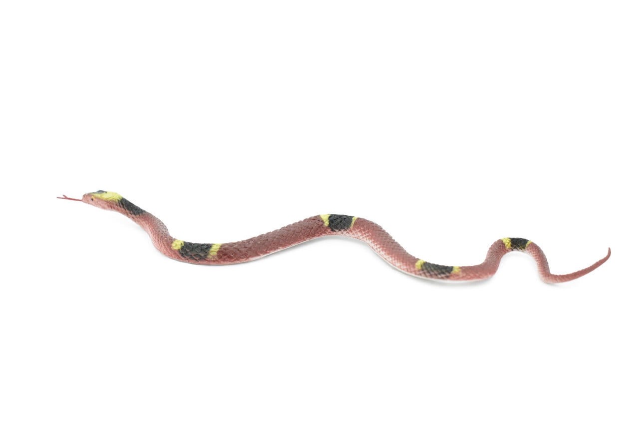 Snake, Red Spitting Cobra, Rubber Reptile, Educational, Realistic Hand ...