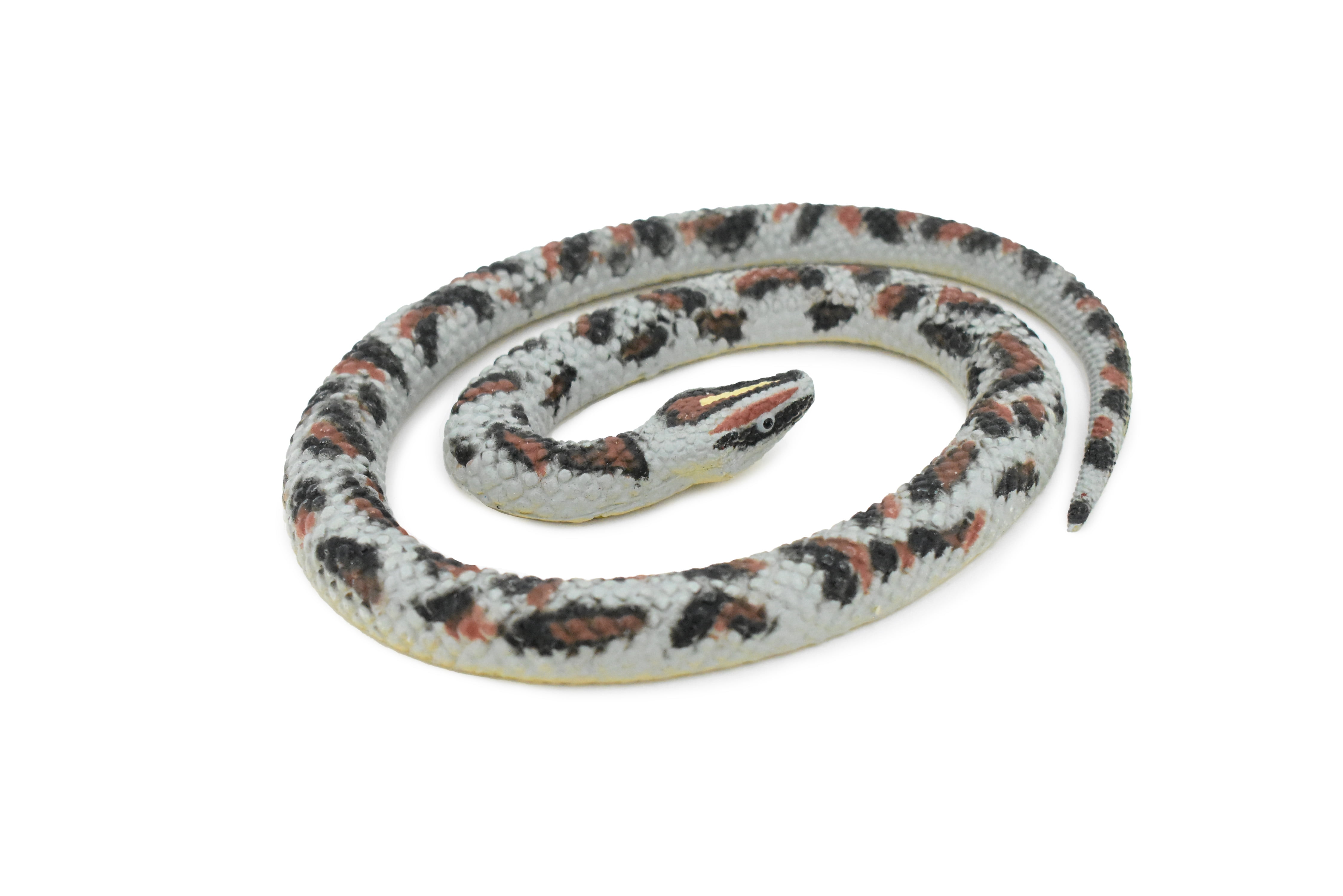 Snake, Rock Python, Coiled, Rubber Reptile, Educational, Realistic Hand ...