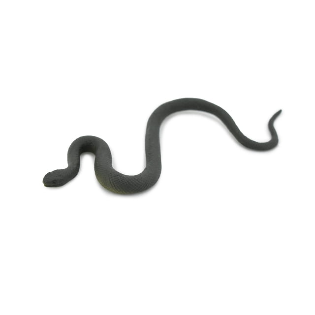 Snake, Smooth Earth Snake, Rubber Reptile, Educational, Realistic Hand ...