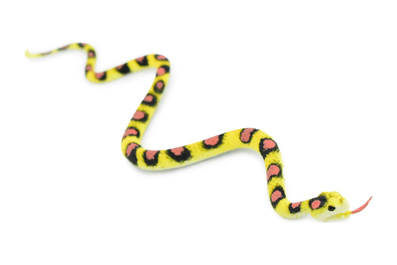 Snake, Yellow Corn Snake, Rubber Reptile, Educational, Realistic, Hand ...