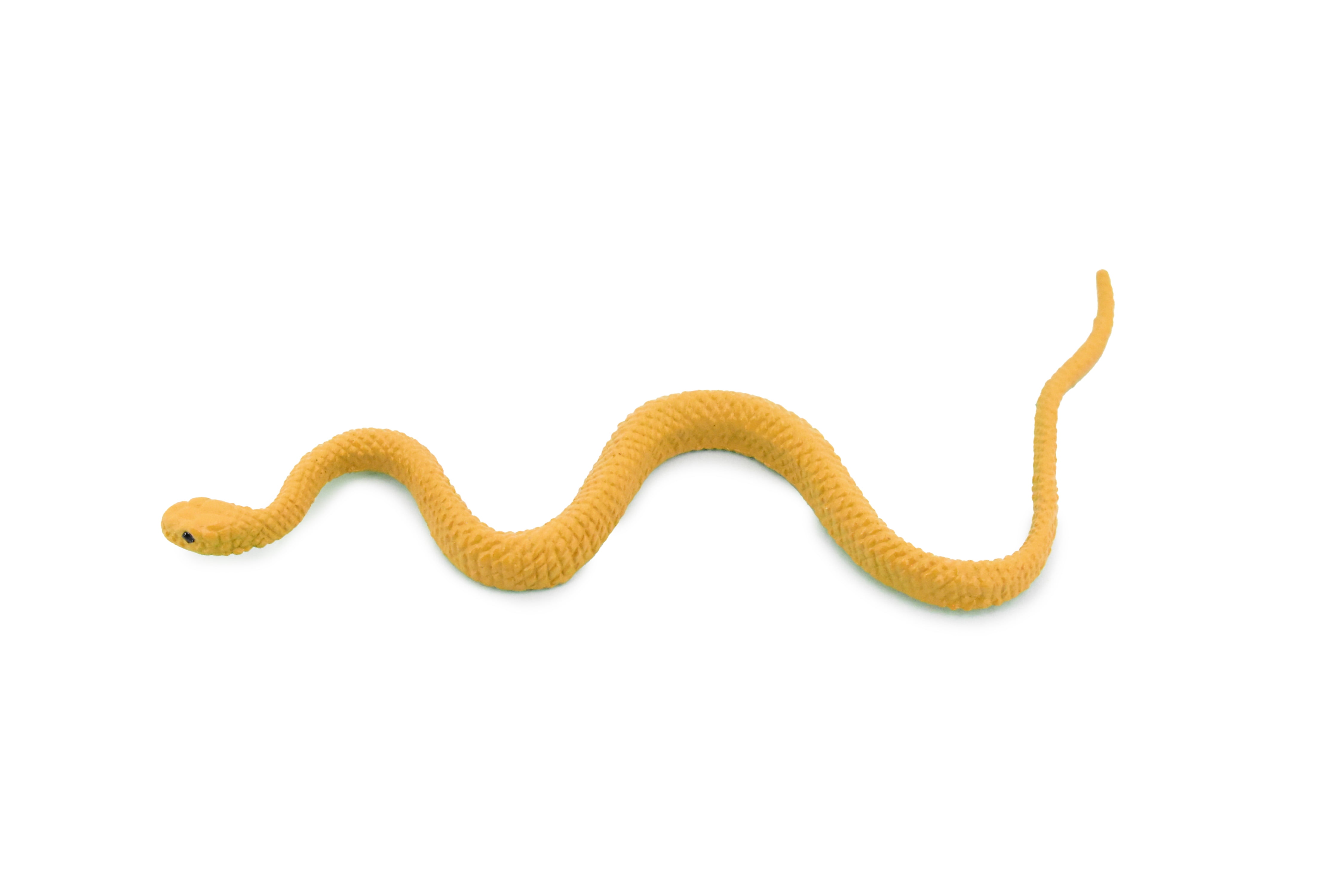 Snake, Yellow Tree Snake, Rubber Reptile, Educational, Realistic Hand ...