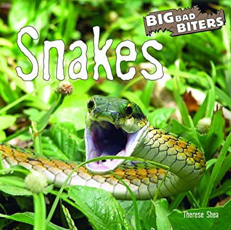 Pre-Owned Snakes (Library Binding) 9781404235205 - Walmart.com