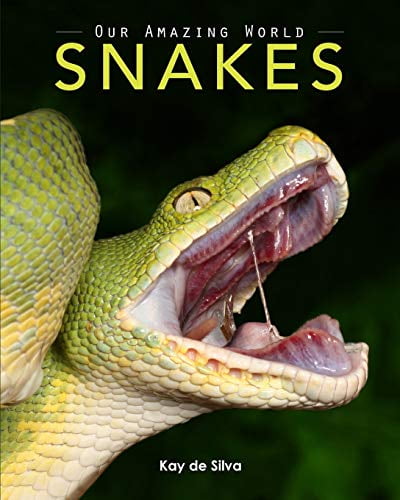 Pre-Owned Snakes: Amazing Pictures & Fun Facts on Animals in Nature Paperback - Walmart.com