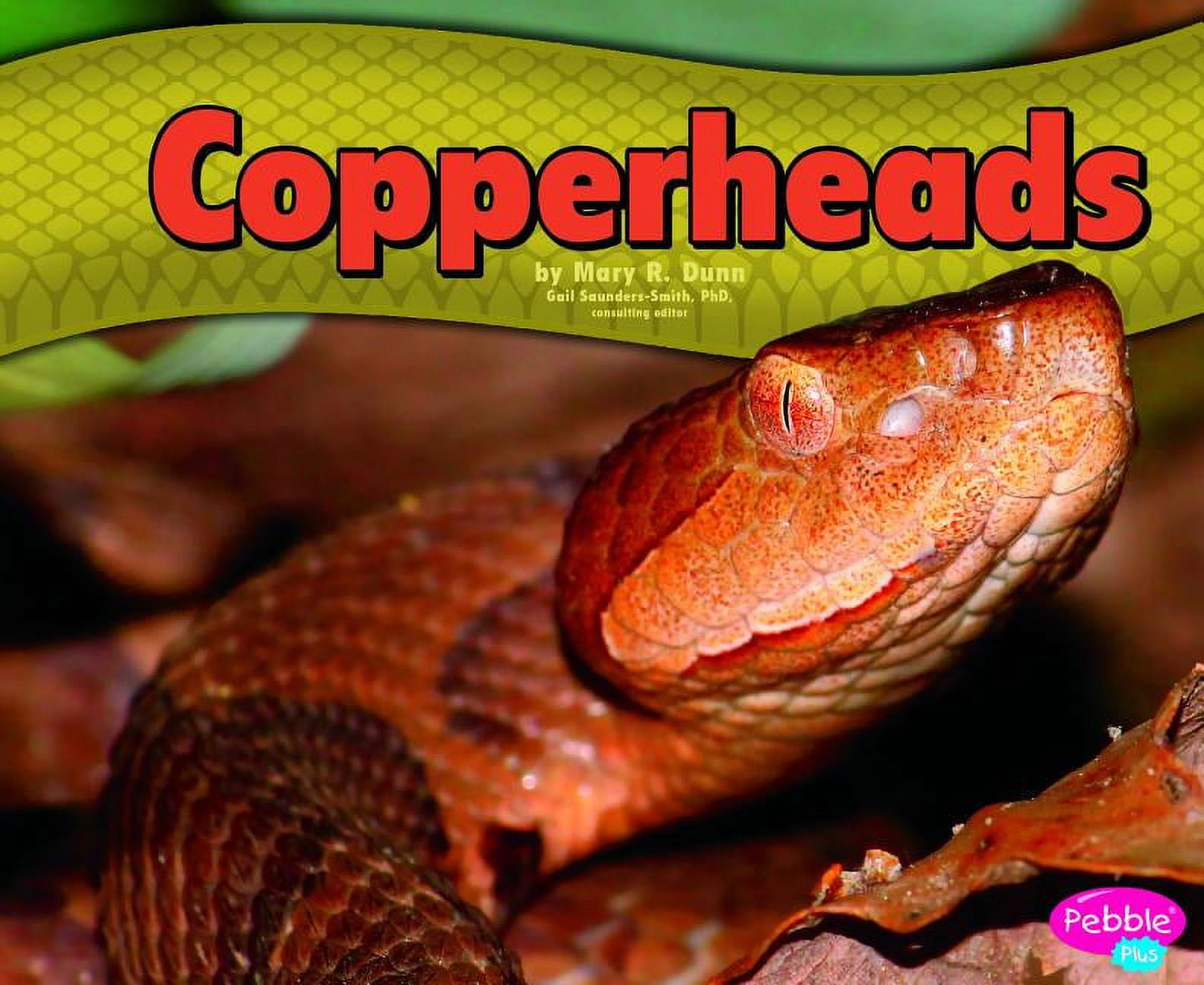 Snakes: Copperheads (Hardcover) - Walmart.com