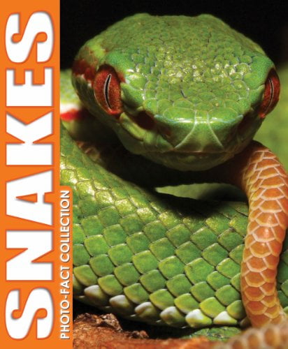 Pre-Owned Snakes Photo Fact Collection Paperback - Walmart.com