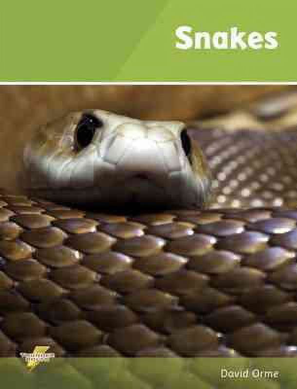 Snakes David Orme (Paperback) - Walmart.com