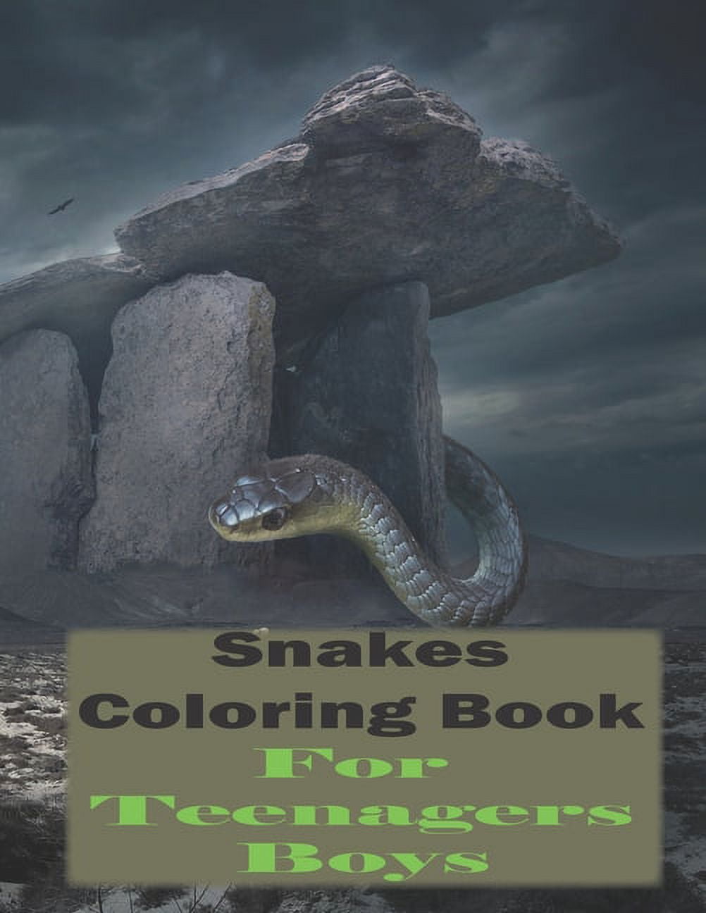 Snakes coloring book for teenagers boys: Stress Relief Coloring Book ...