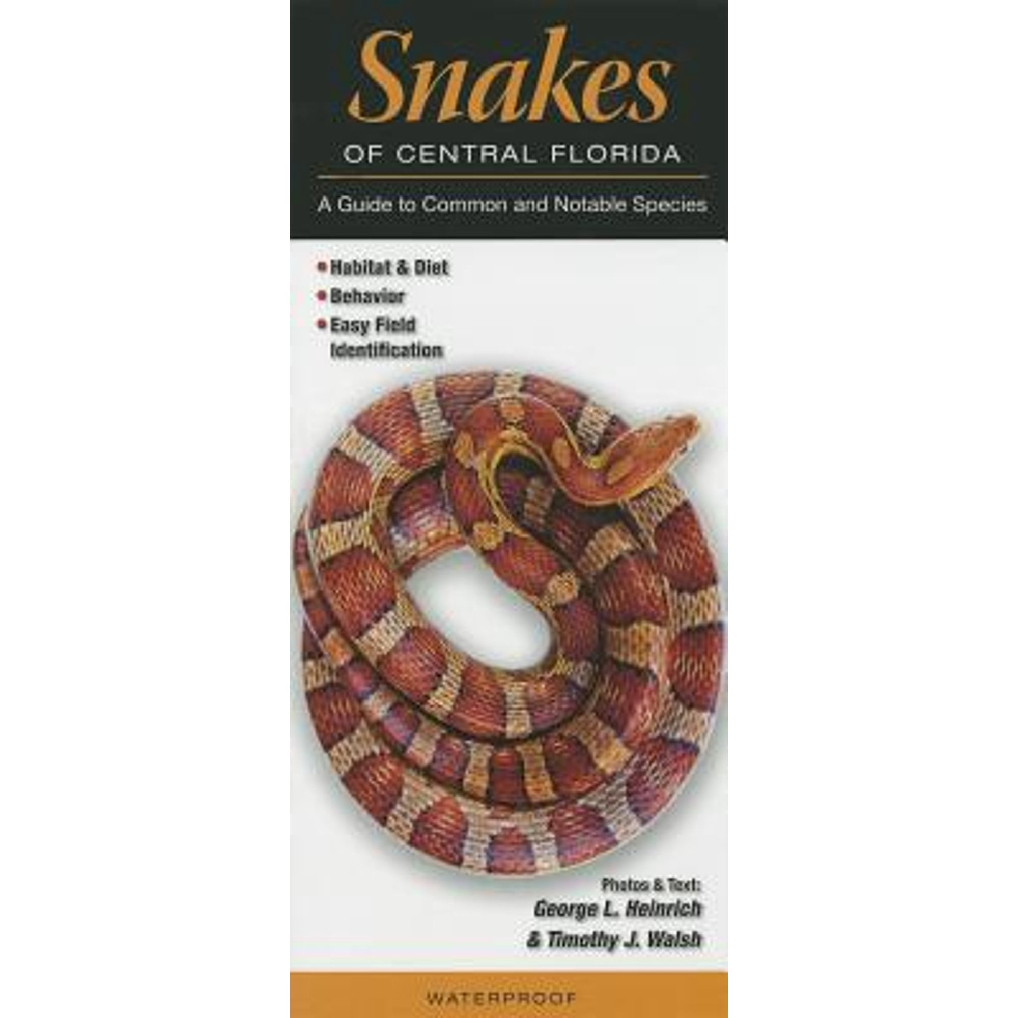 Pre-Owned Snakes of Central Florida: A Guide to Common & Notable ...