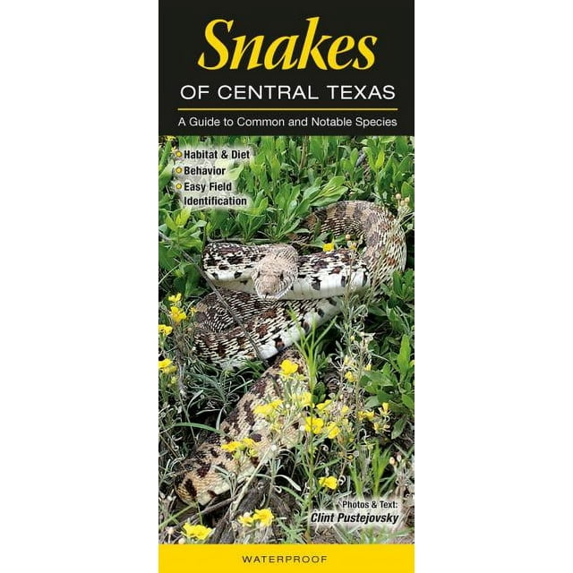 Snakes of Central Texas: A Guide to Common & Notable Species (Other ...