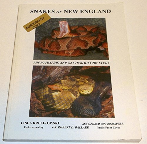 Pre-Owned Snakes of New England : Photographic and Natural History Study Paperback - Walmart.com