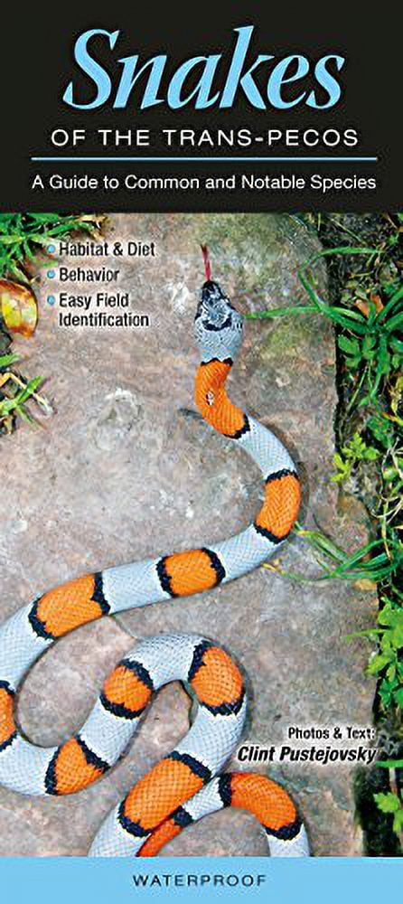 Pre-Owned Snakes of the Trans-Pecos: A Guide to Common & Notable ...