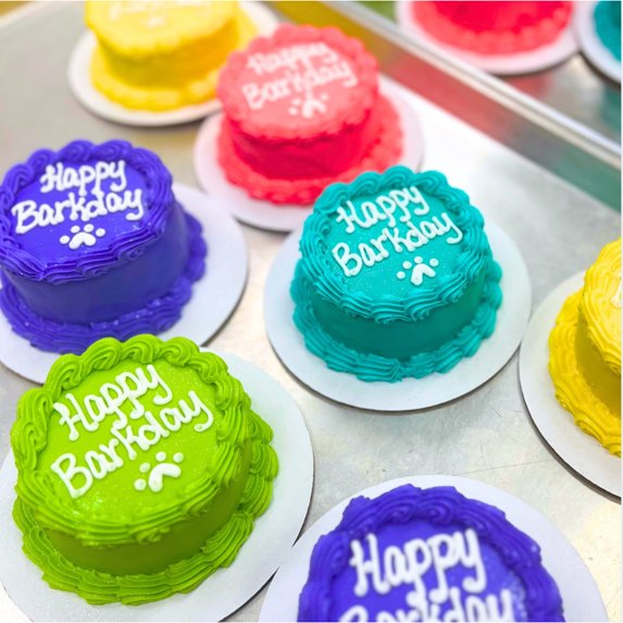 Snaks 5th Avenchew Medium Birthday Cake (Dog) - Teal / Sponge Cake ...