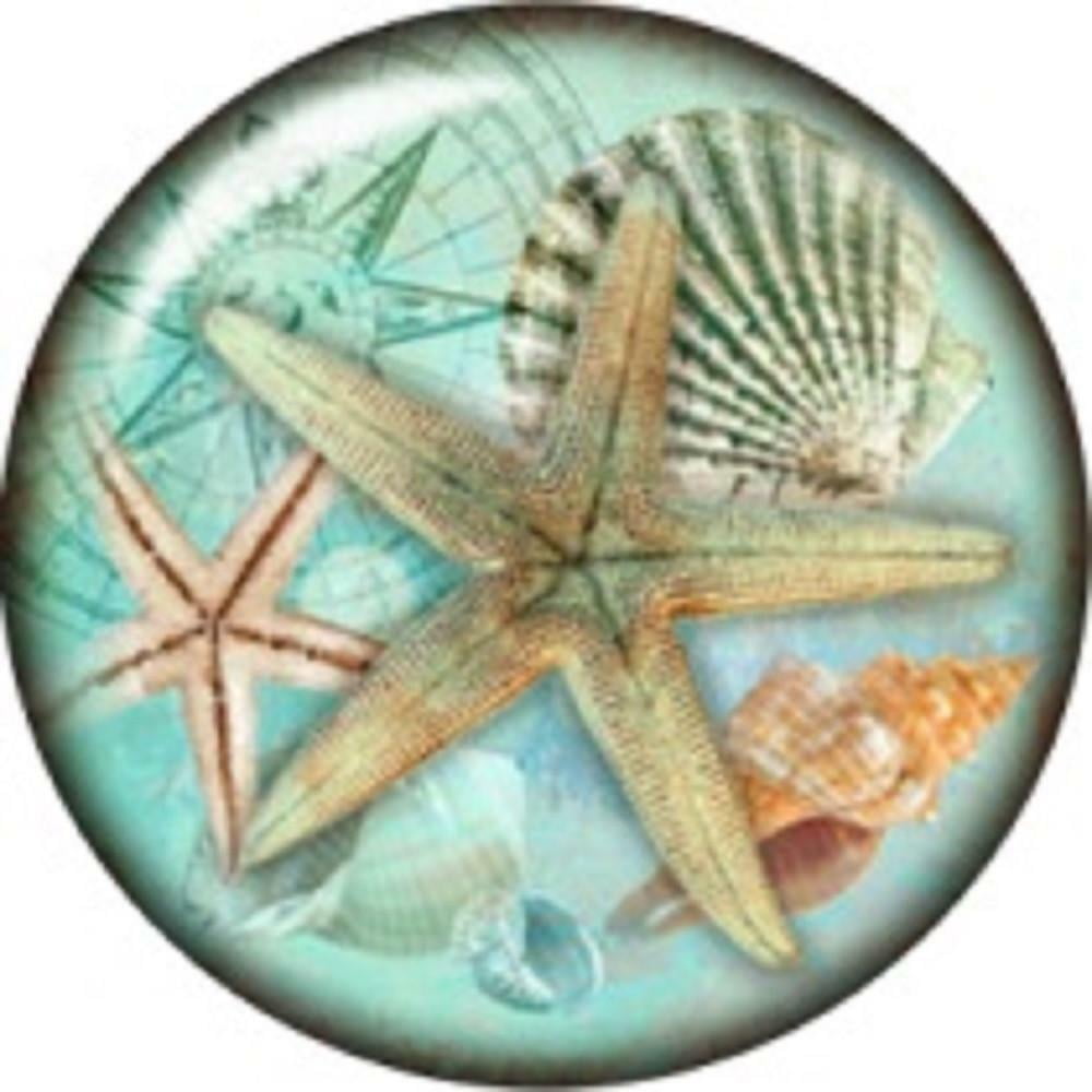 Snap Button Beach Starfish Shells 18mm Charm Chunk Interchangeable free ...