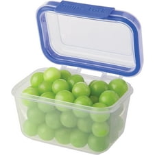 Bug Proof Storage Containers