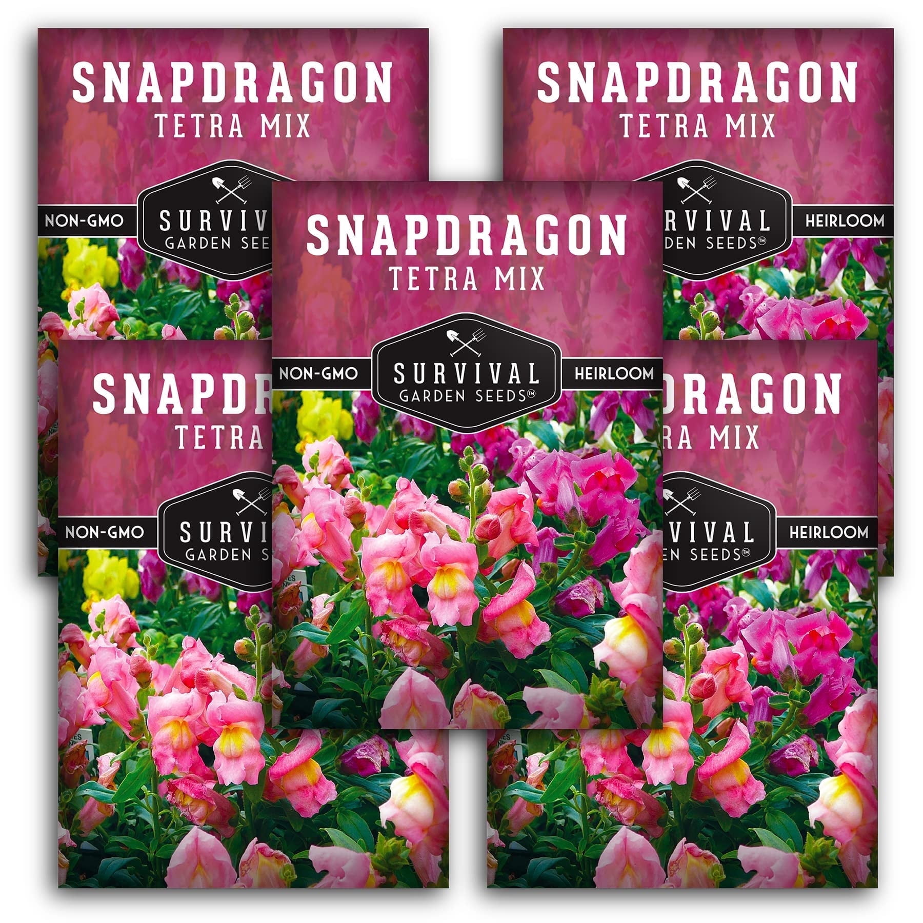 Snapdragon Tetra Mix Seeds 5pk Heirloom Full Sun Annual Flower ...