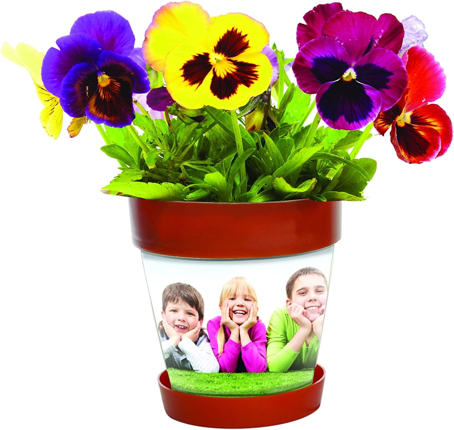 Snapins DIY Craft Flower Pots - Pack of 48 Planters - Walmart.com