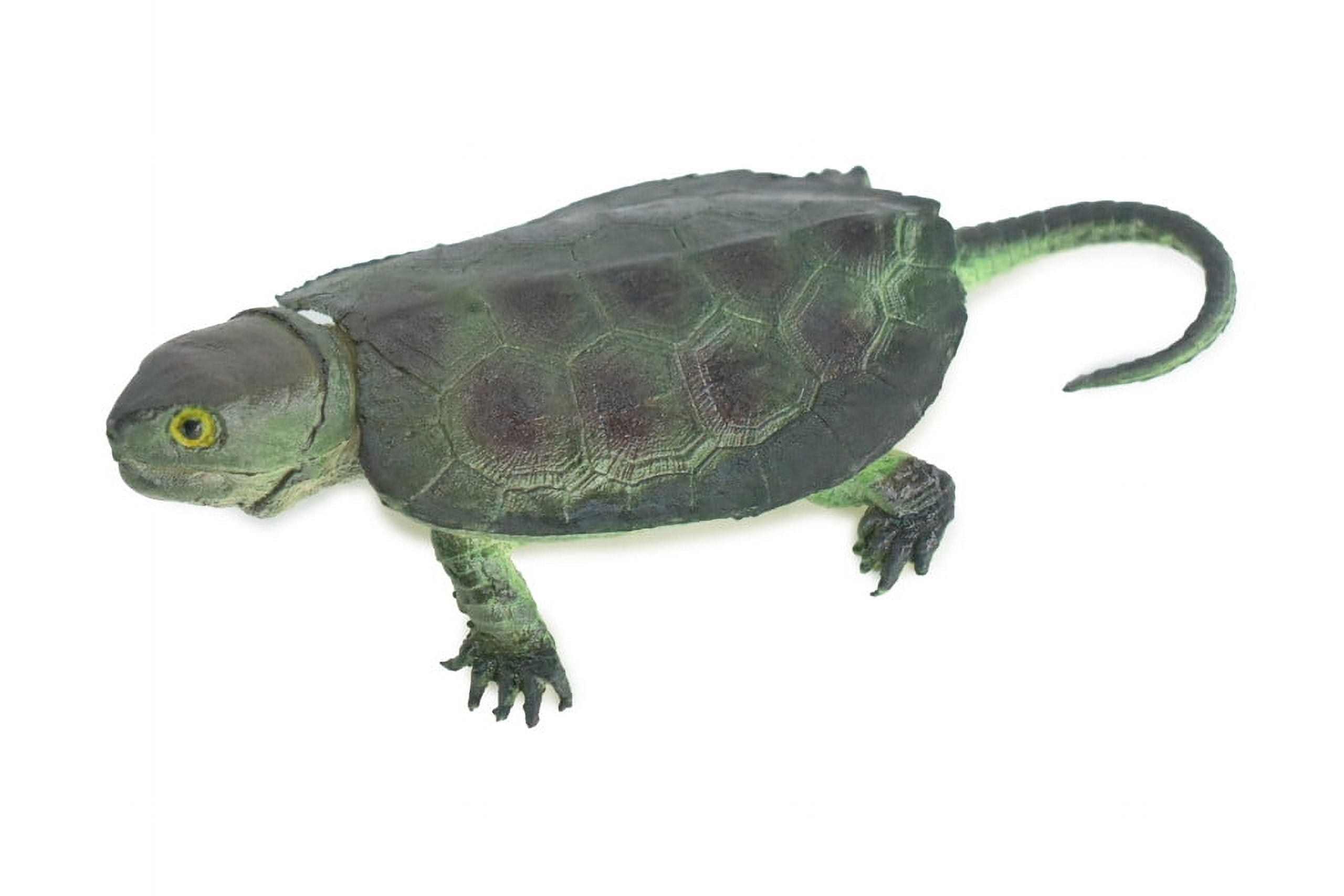 Snapping Turtle, Hand Painted, High Quality, Hard Rubber Turtle ...