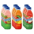 Snapple Juice Drink Variety Pack, Lemonade & Tea, All Natural Fruit, 16 ...